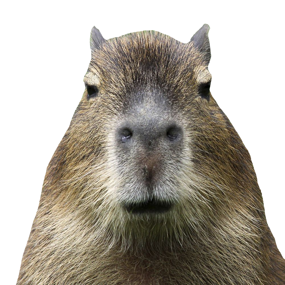 hannah le | aosc111 final project :3